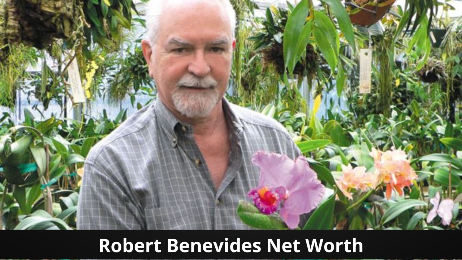 What Is The Net Worth Of Robert Benevides In 2025