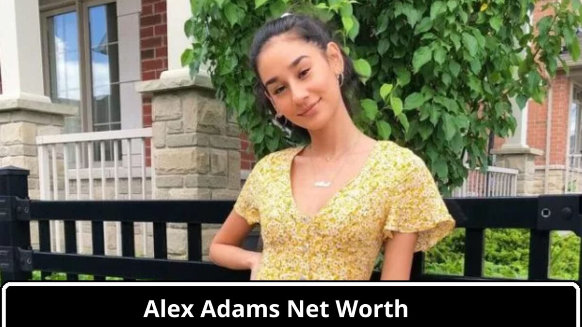 What Is The Net Worth Of Alex Adams In 2024