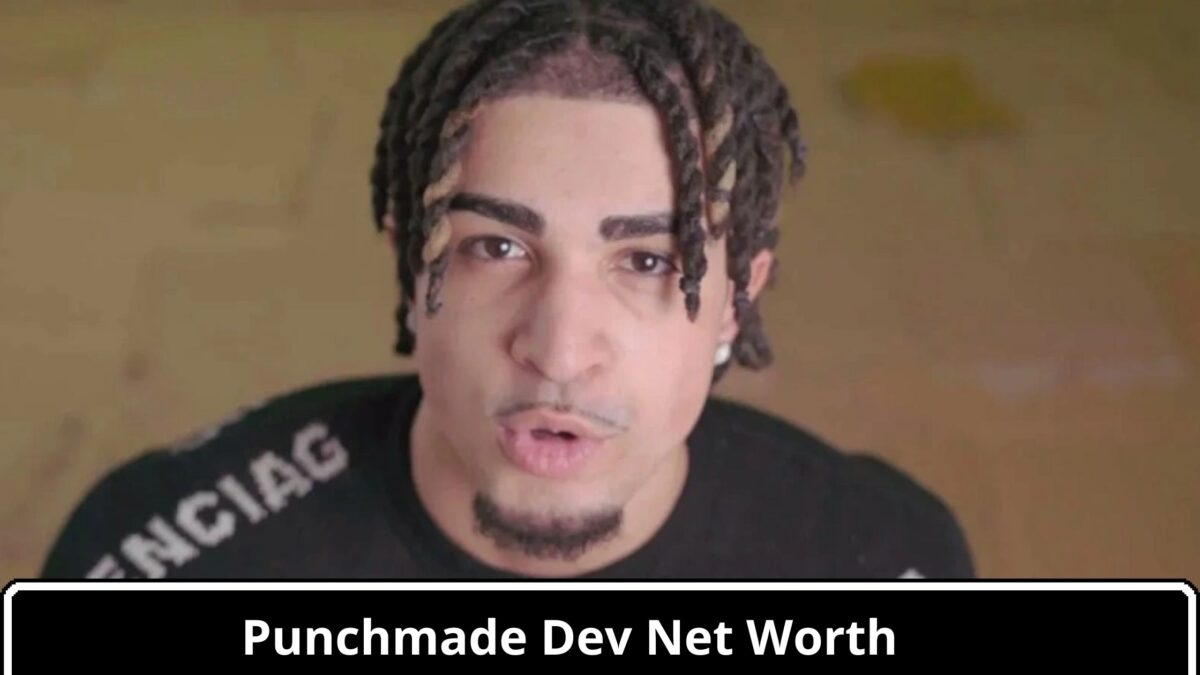 What Is The Net Worth Of Punchmade Dev In 2025 (Updated)
