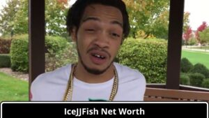 What Is The Net Worth Of IceJJFish In 2024