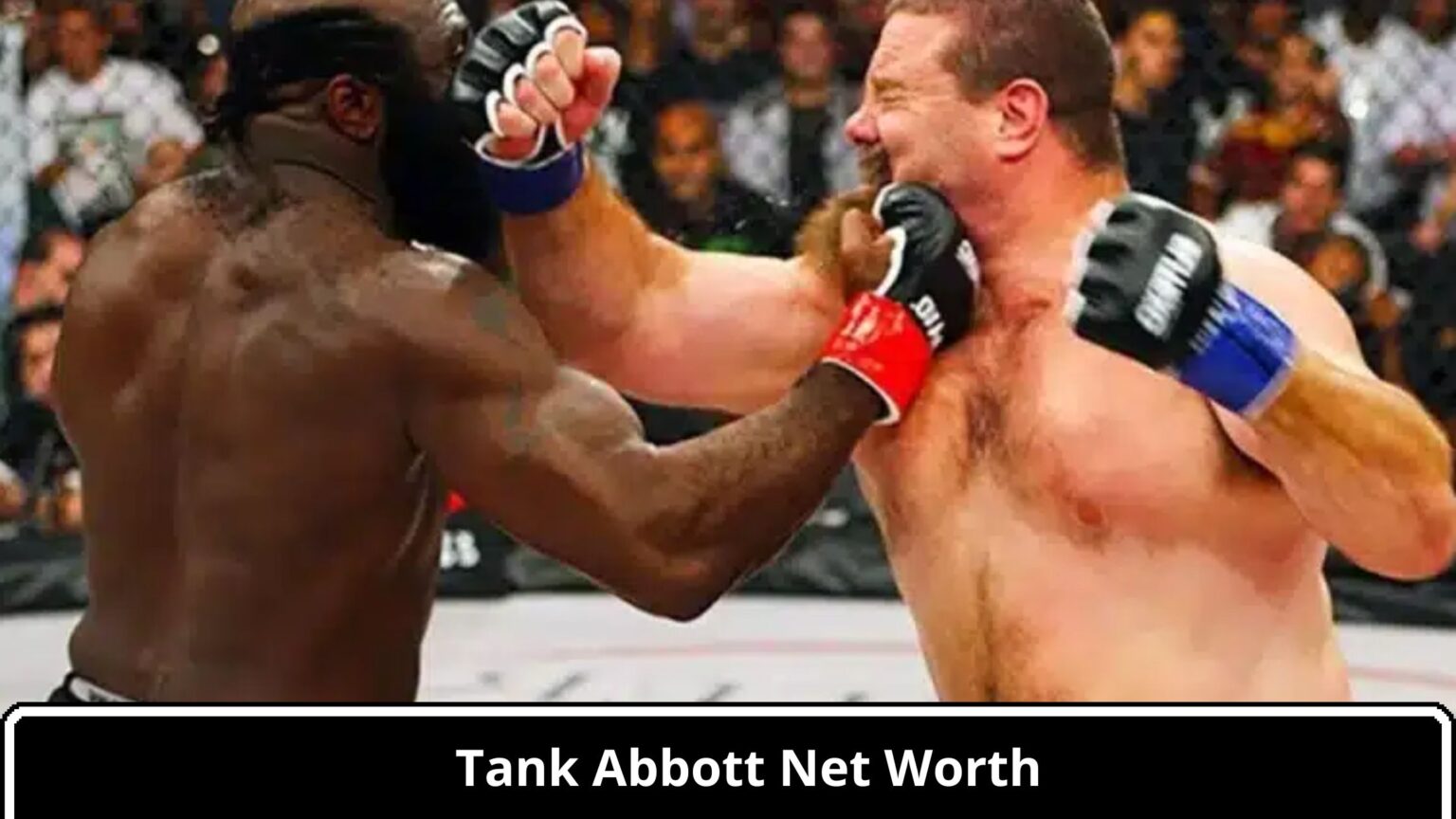 What Is The Net Worth Of Tank Abbott In 2024
